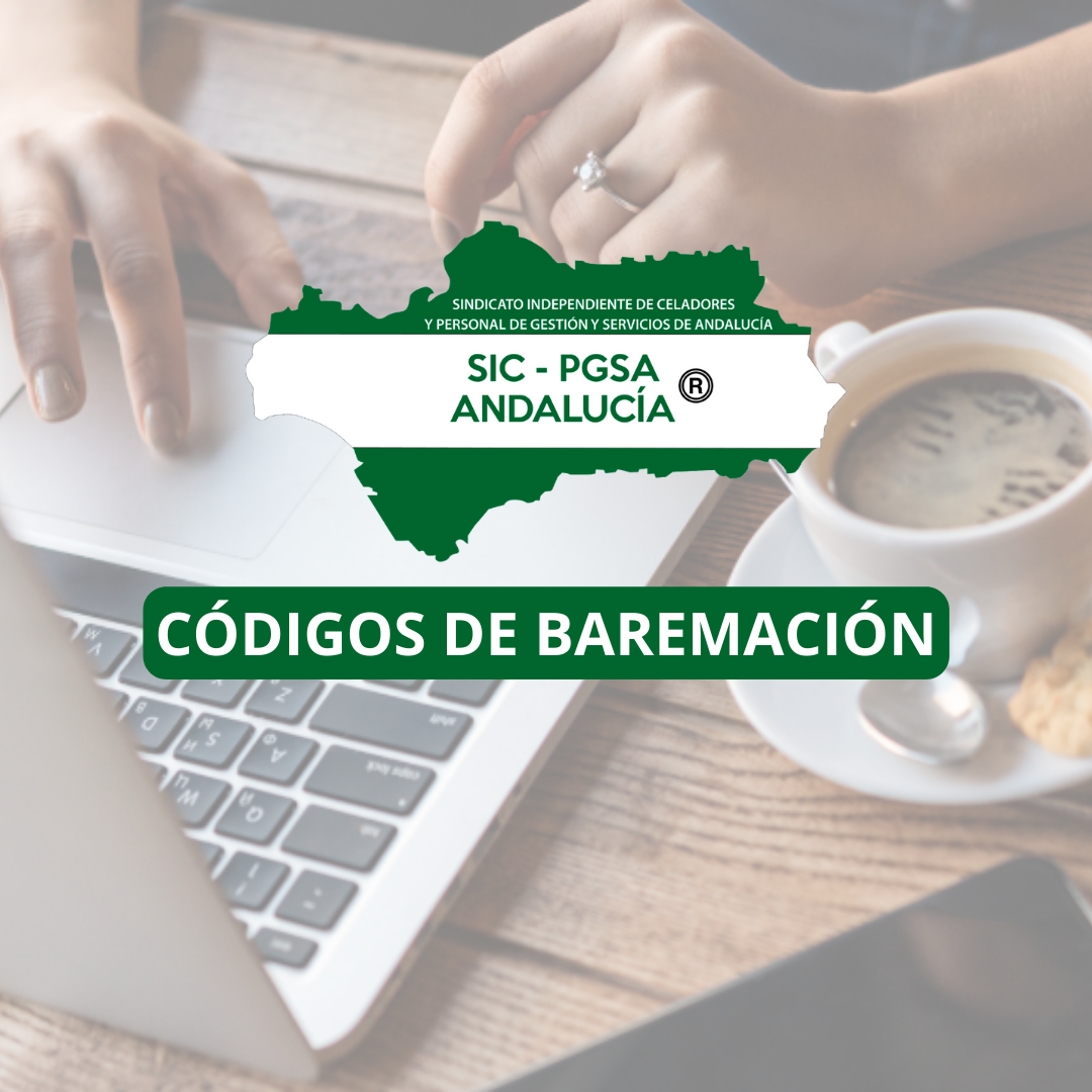 CÓDIGOS DE BAREMACIÓN | SIC-PGSA
